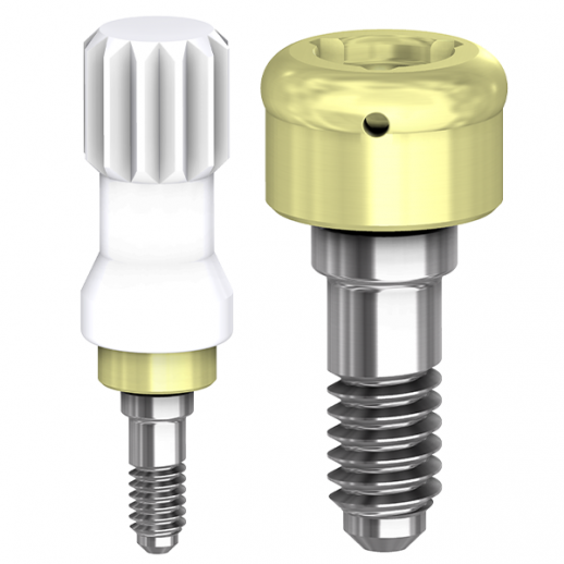 Dess Loc compatible NobelReplace Select™ - Protetik
