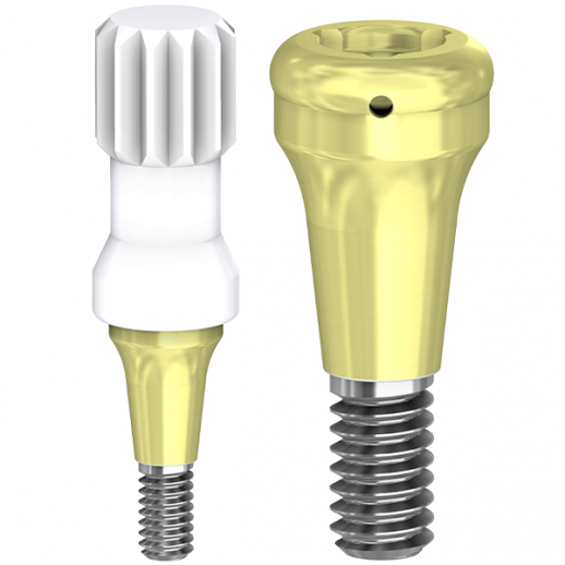 Dess Loc compatible Dentsply Ankylos® C/X