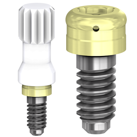 Dess Loc compatible Camlog® - Protetik